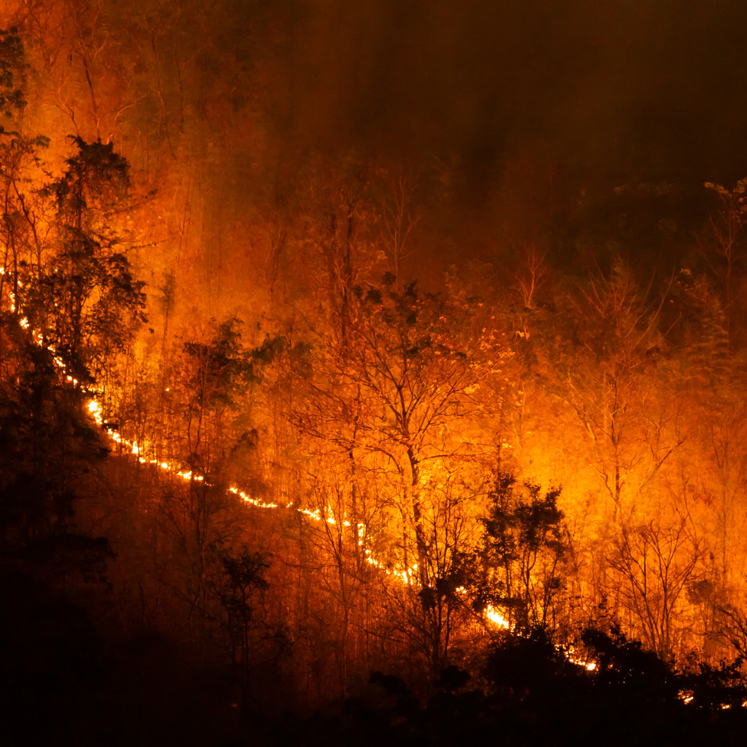 How After-Action Reviews Drive Emergency Preparedness: Lessons from the ...