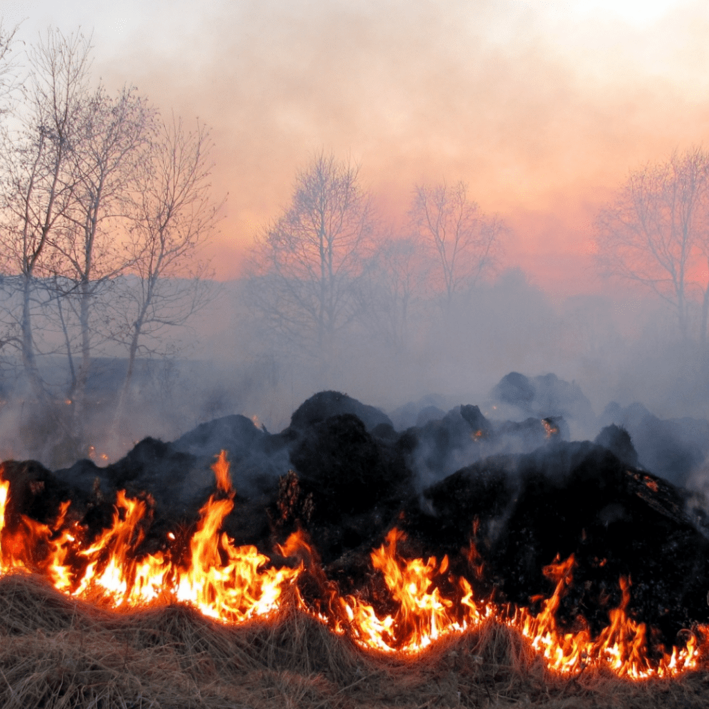 Best Crisis & Emergency Management Software | Emergency Management Systems